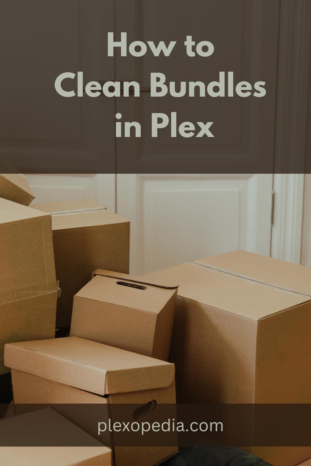 How to Clean Bundles in Plex - Plexopedia