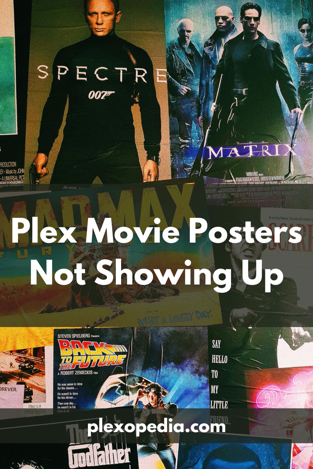 Plex Movie Posters Not Showing Up - Plexopedia Plex Movie Posters Not Showing Up - Plexopedia