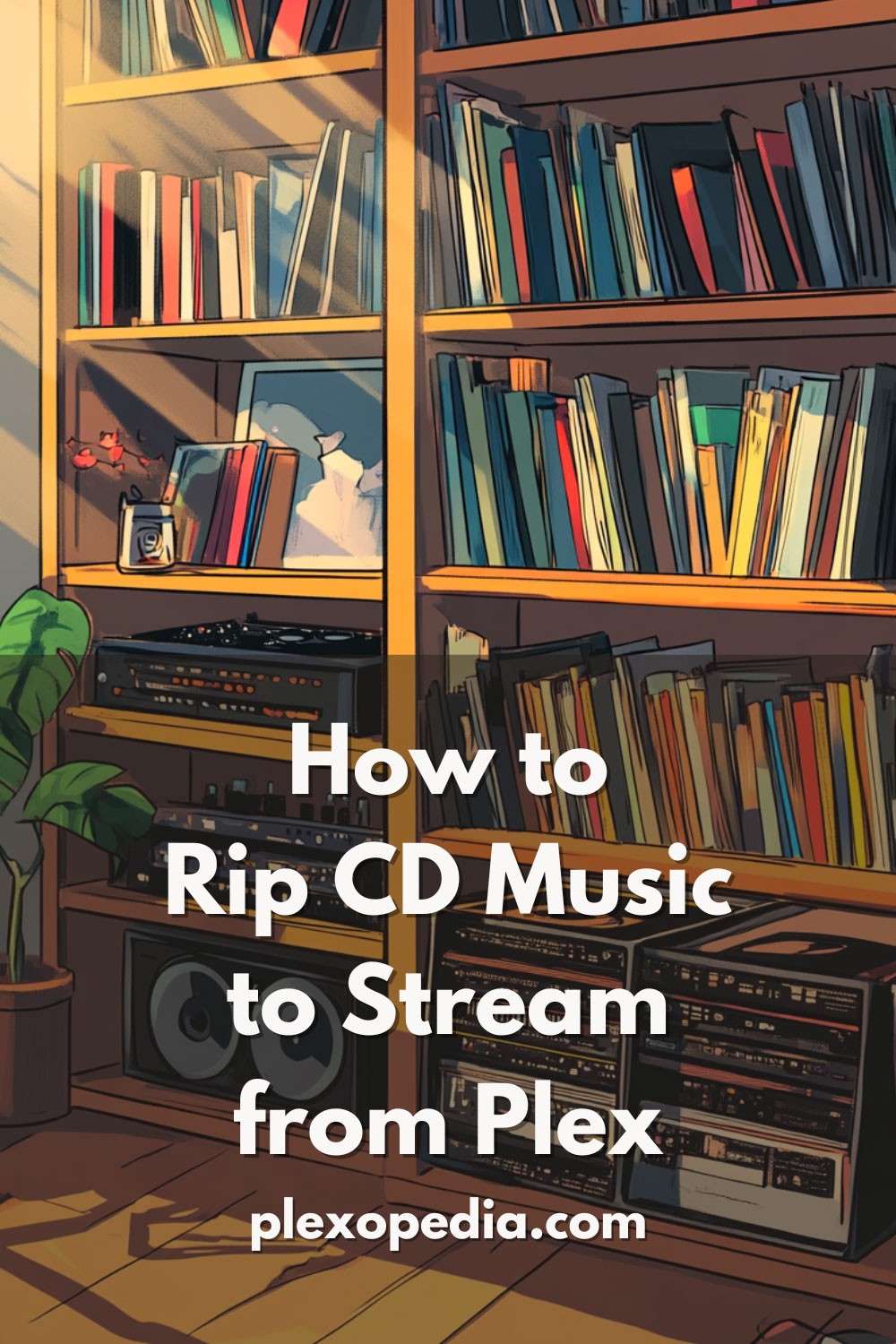 How to Rip CD Music to Stream from Plex - Plexopedia