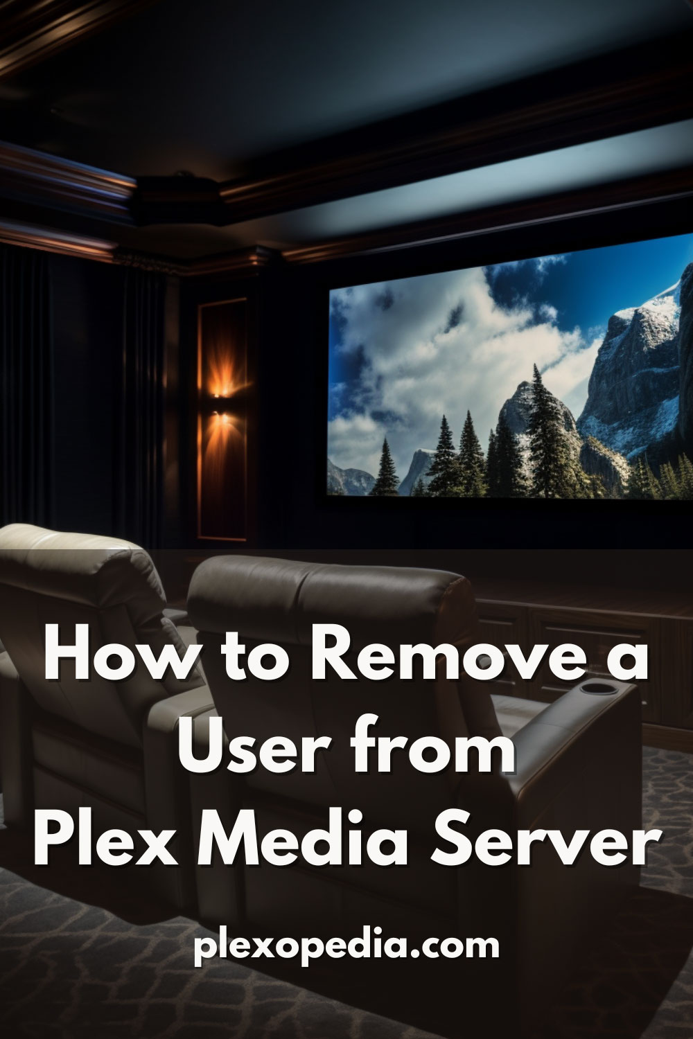 How to Remove a User from Plex Media Server - Plexopedia
